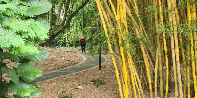 Ecocampus | Pontificia Universidad Javeriana Cali