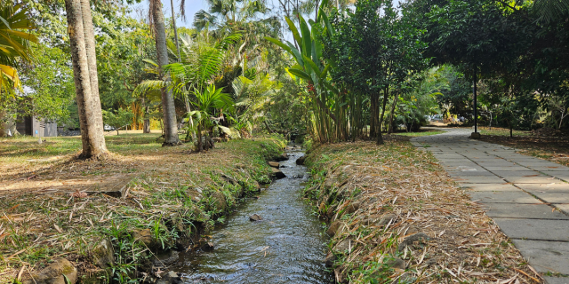 Ecocampus | Pontificia Universidad Javeriana Cali