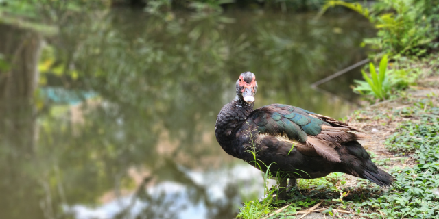 Ecocampus | Pontificia Universidad Javeriana Cali